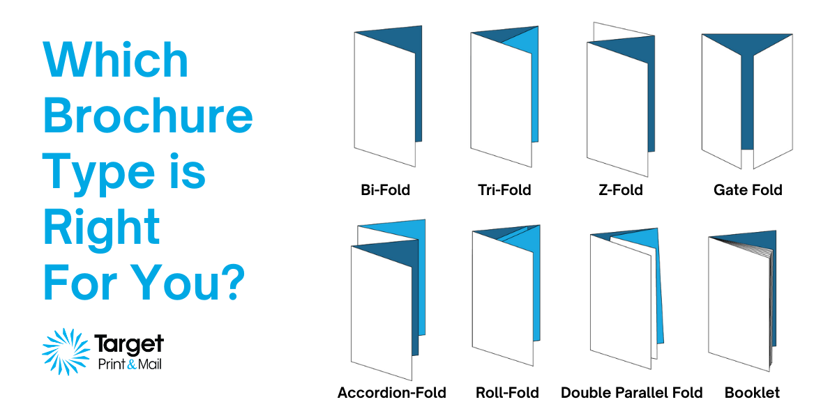 Brochure Printing 101 | Target Print and Mail